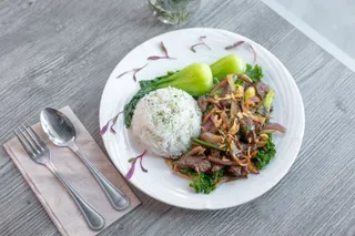 Revi Food Ordering App | Download the App Today